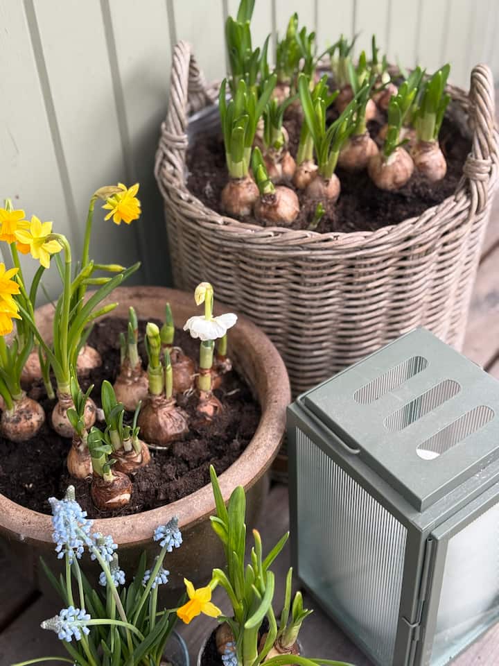 Majoitusta Vanhan Rauman Laidalla - Rauma