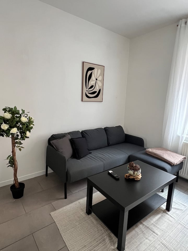 Appartement à Mulhouse - Mulhouse