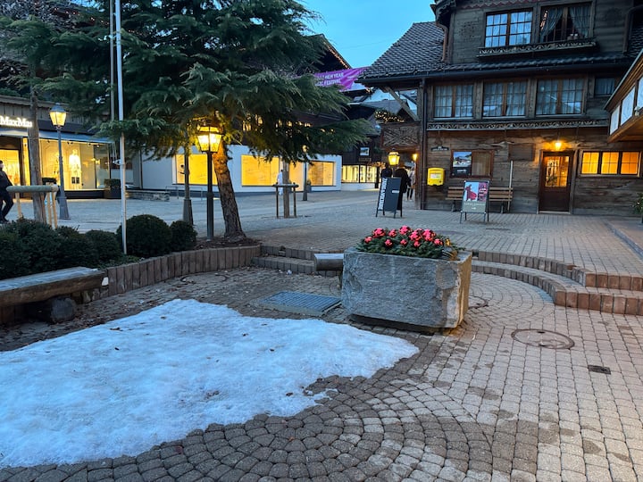 Le Vieux Chalet Gstaad - Gstaad