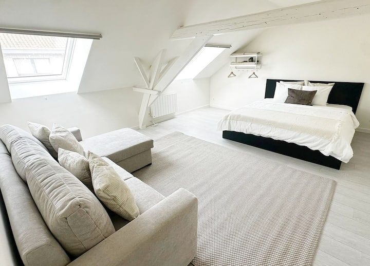 Quick Walk To Center | 2 Apartments, For Up To 24p - Gent