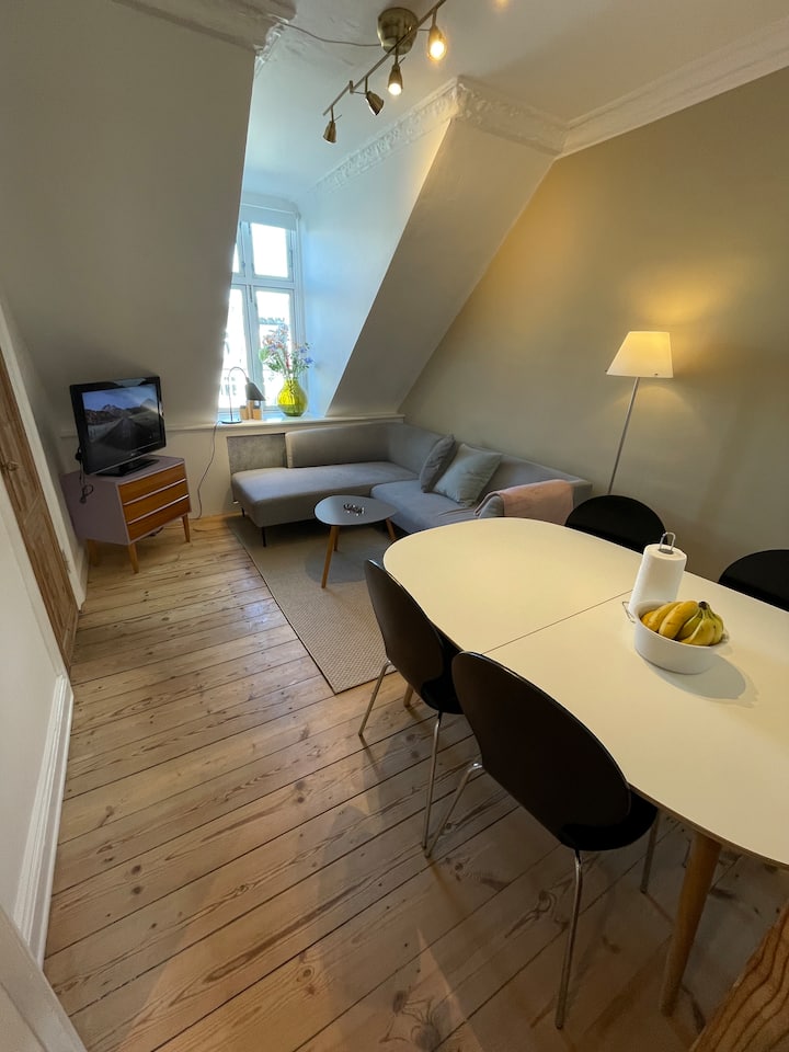 Penthouse I København (ØSterbro) - Copenhagen