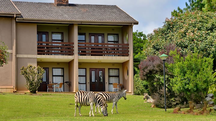 Nt Crystal Springs Mountain Lodge
Mpumalanga - Mount Sheba