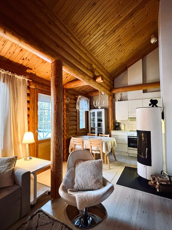 Cozy Cabin In Ruka - Finland