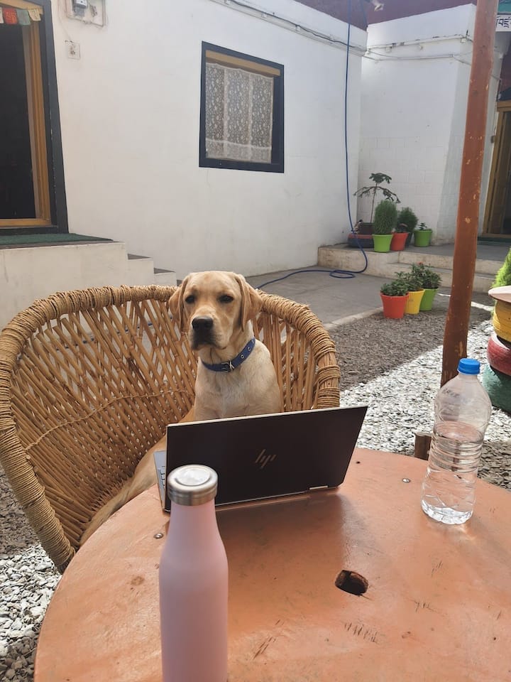 Mud Homestay W/ Heated Beds & Home Meals, Hp - Tabo