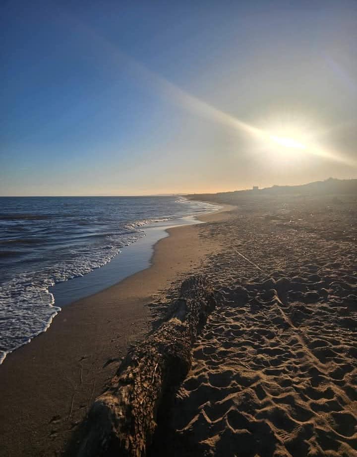 Location 150m De La Mer, 6p, Piscine - Plage Portiragnes