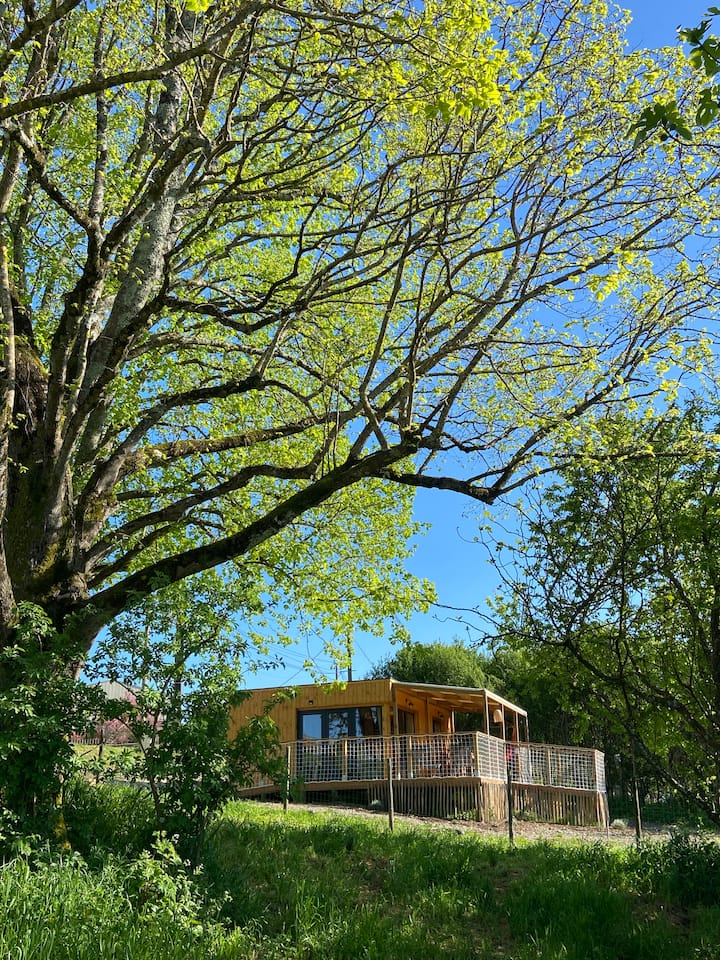 Chalet Des Grands Tilleuls - Jonzac