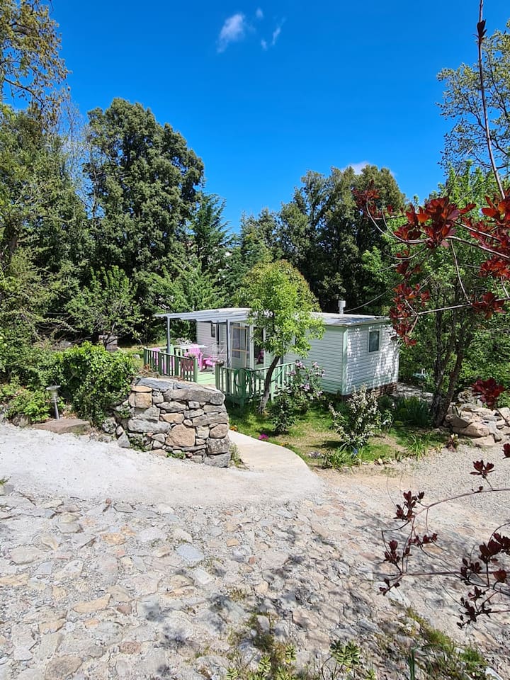 Chalet De La Source Entre Mer Et Montagne - Corte