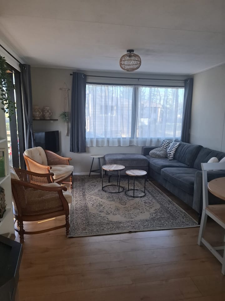 Chalet Vuurvlieg - In Bosrijkgebied Van Drenthe - Drenthe