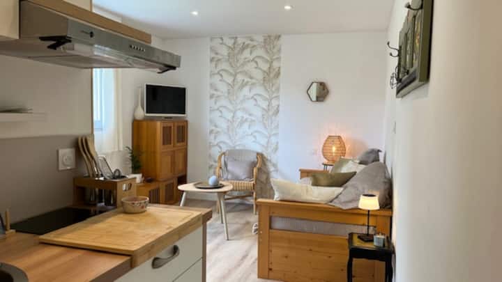 Studio Et Jardin Cosy - Pluvigner