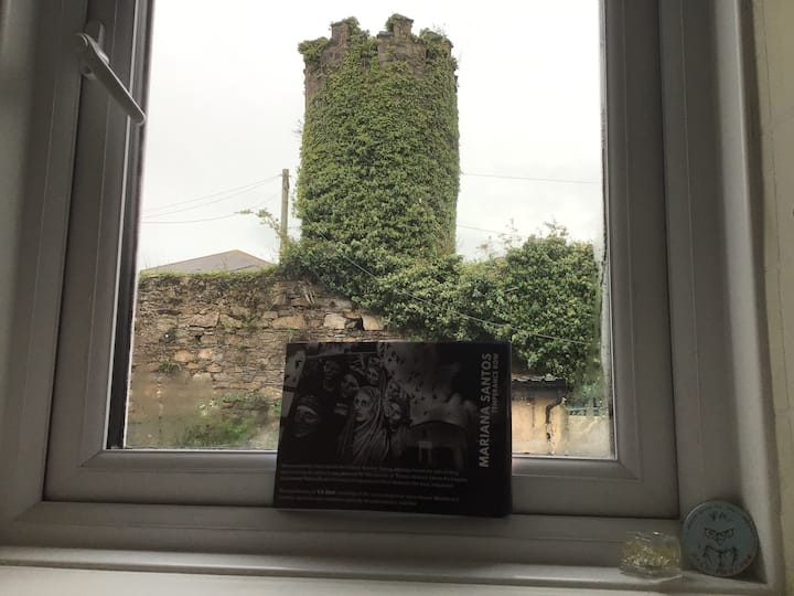 Mardi Gras House In Center Of Wexford Town! - Wexford