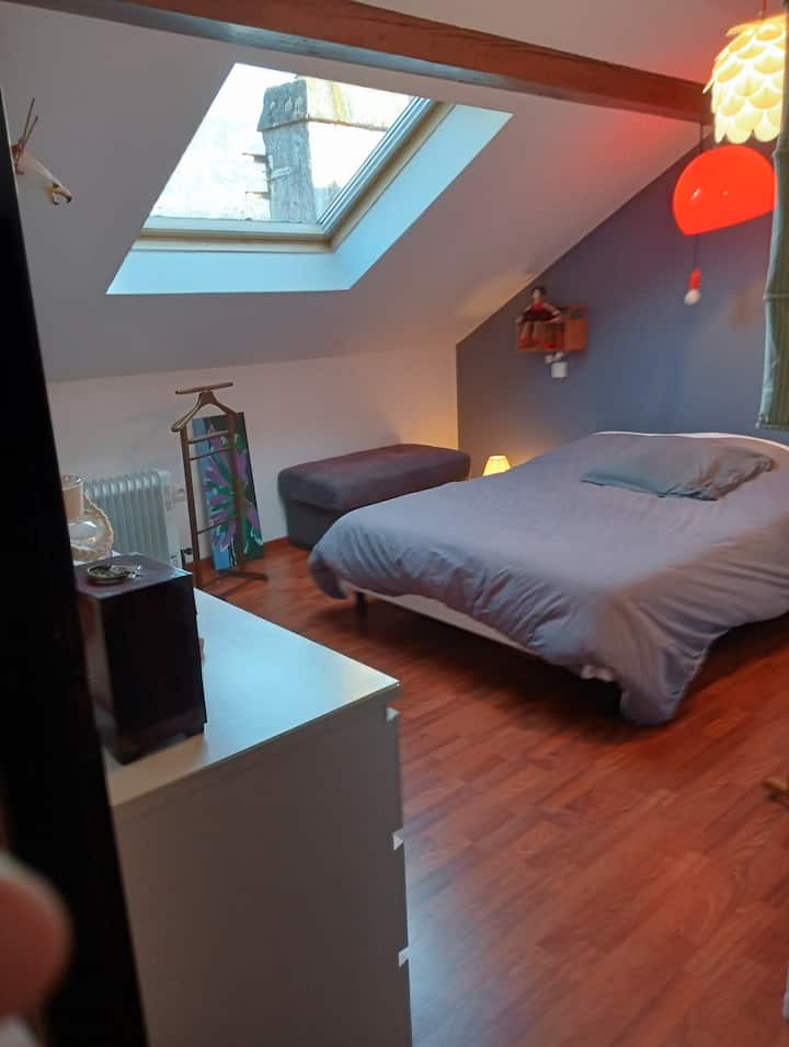 Chambre Chez L'habitant Lit Double Au Calme - Seyssel