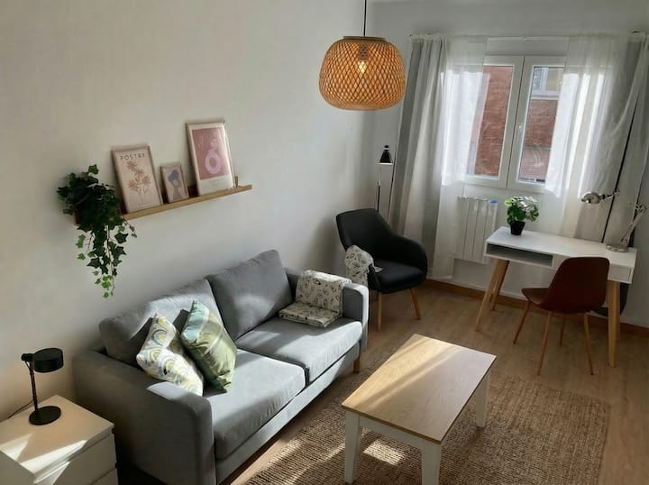 Apartamento En El Centro De Santander - Solares