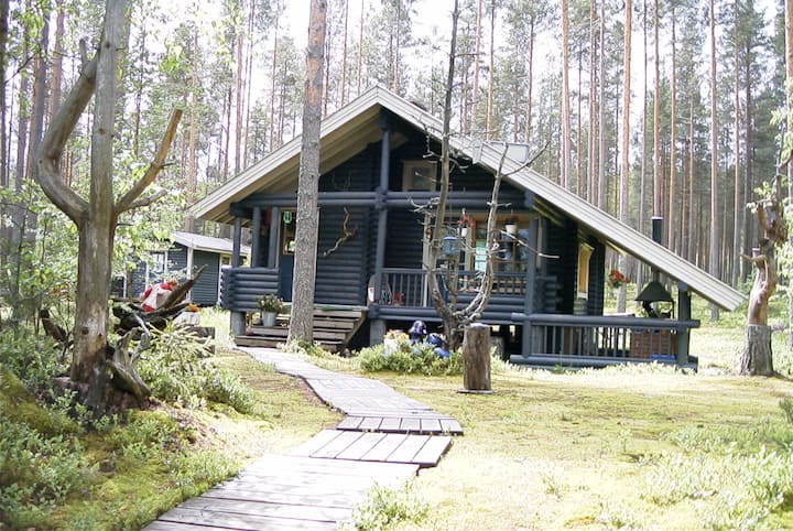 Hirsimökki 35m2 Savonlinnan Pihlajaveden Rannalla. - Etelä-Savo