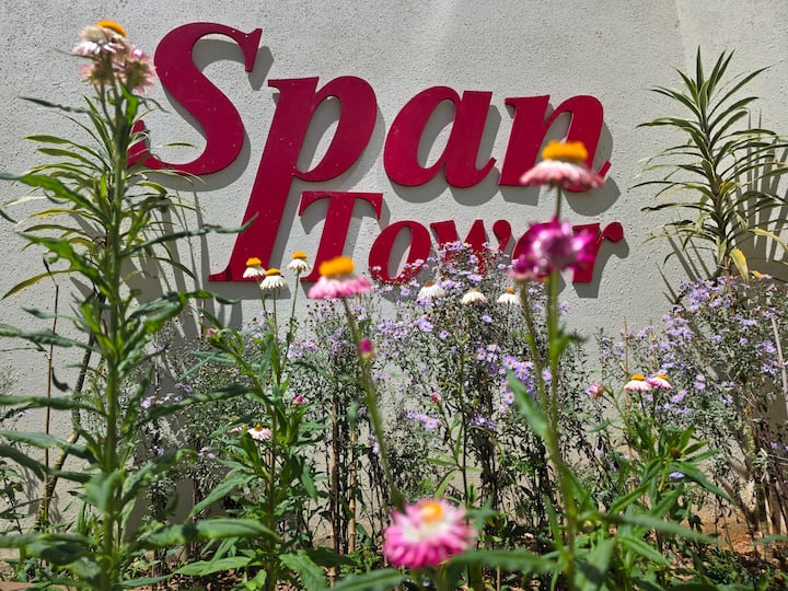 Wake Up To Nature - Forest View Stay - Nuwara Eliya