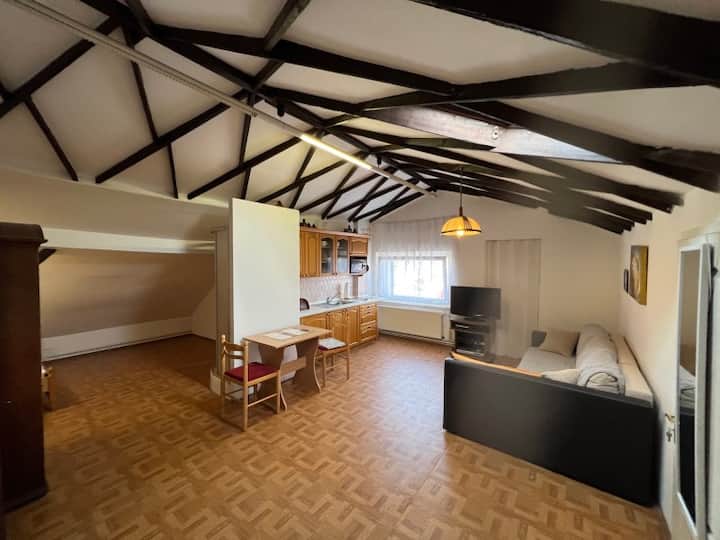 Apartmán Elbea - Karlovy Vary