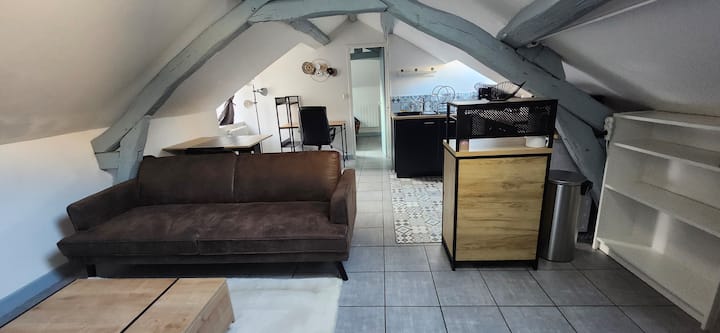 Appartement 2 Pièces - Centre Historique De Blois - Blois