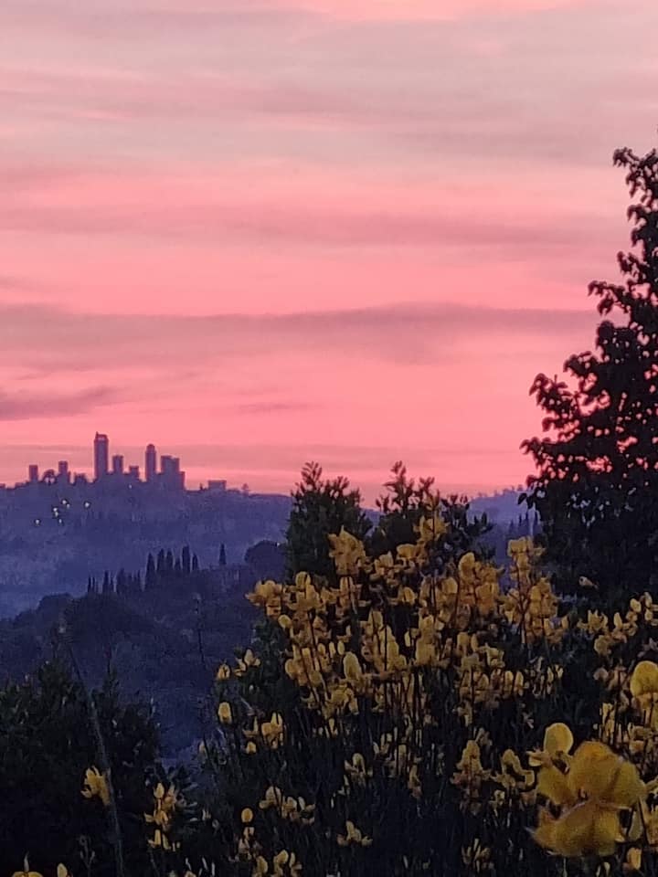 Tuscio - Affaccio Sullo Skyline Di San Gimignano - Poggibonsi