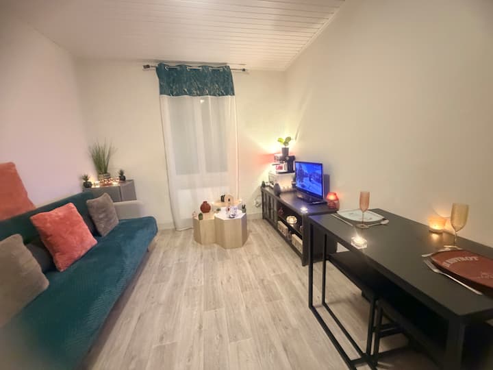 Appartement Avec Jardin - Villeneuve-sur-Lot