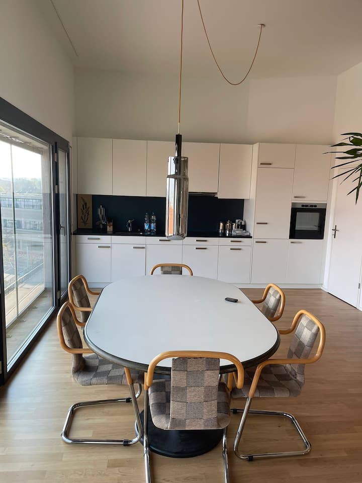 Basel City View Penthouse - Parking Ac & Fast Wifi - Basel