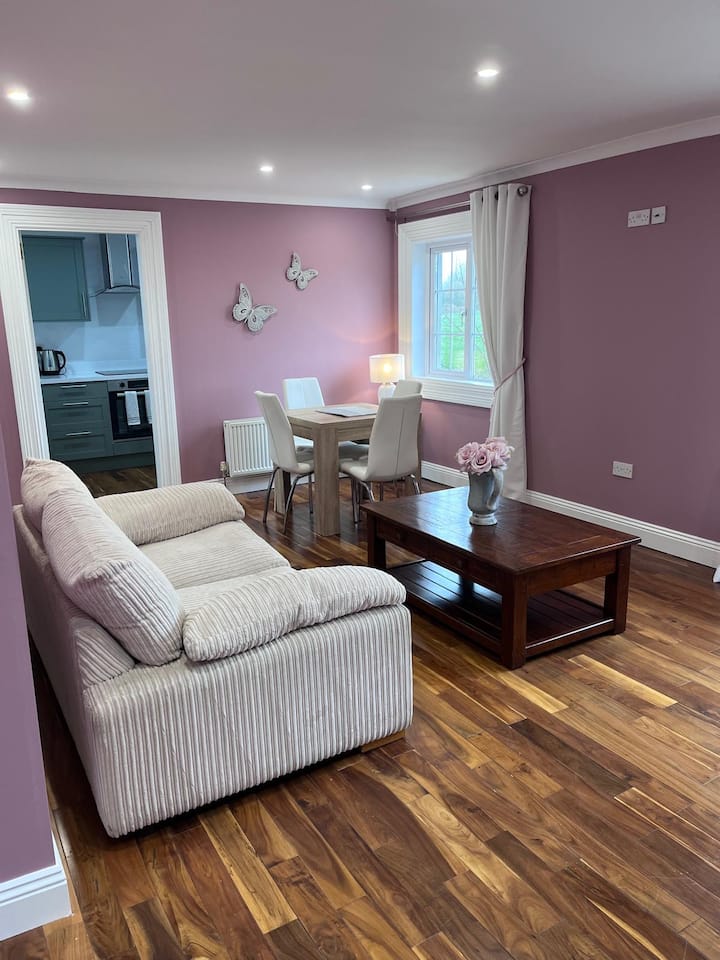 Greenway Hidden Gem Apartment 1 - Waterford