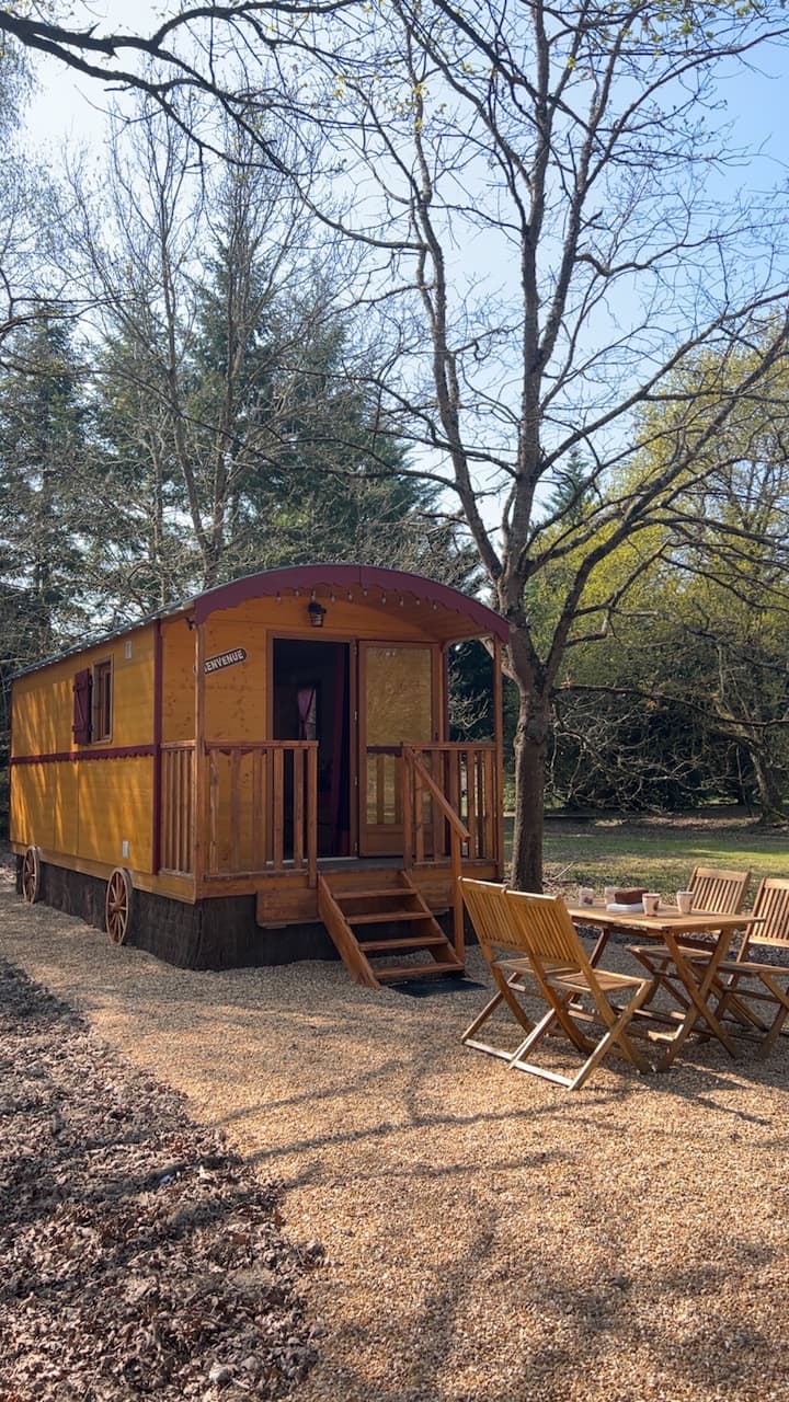 Les Roulottes Du Primauté
La British - Cheverny