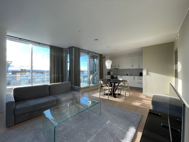 Romslig Toppleilighet Med Flott Utsikt - Bjørvika - Oslo