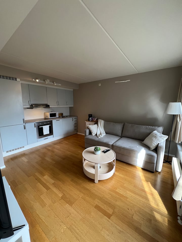 Koselig Studio I Hjertet Av Oslo - Oslo