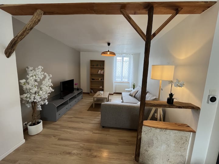 Grand T3 Traversant Et Lumineux En Centre-ville - Millau