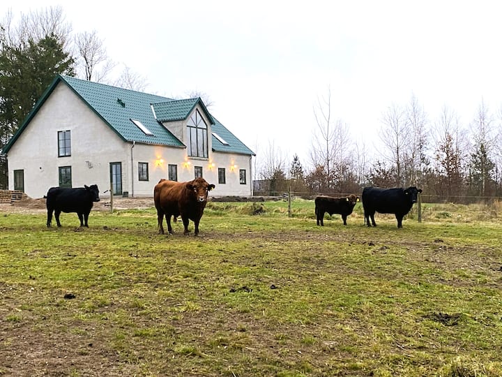 Landstedet - Stor Bolig I Stueplan - Denmark
