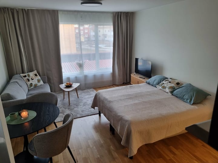 Studio Lyan Apt - Skellefteå