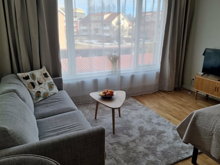 Fin Studio Nära Centrum, äLv Och Universitet - Skellefteå