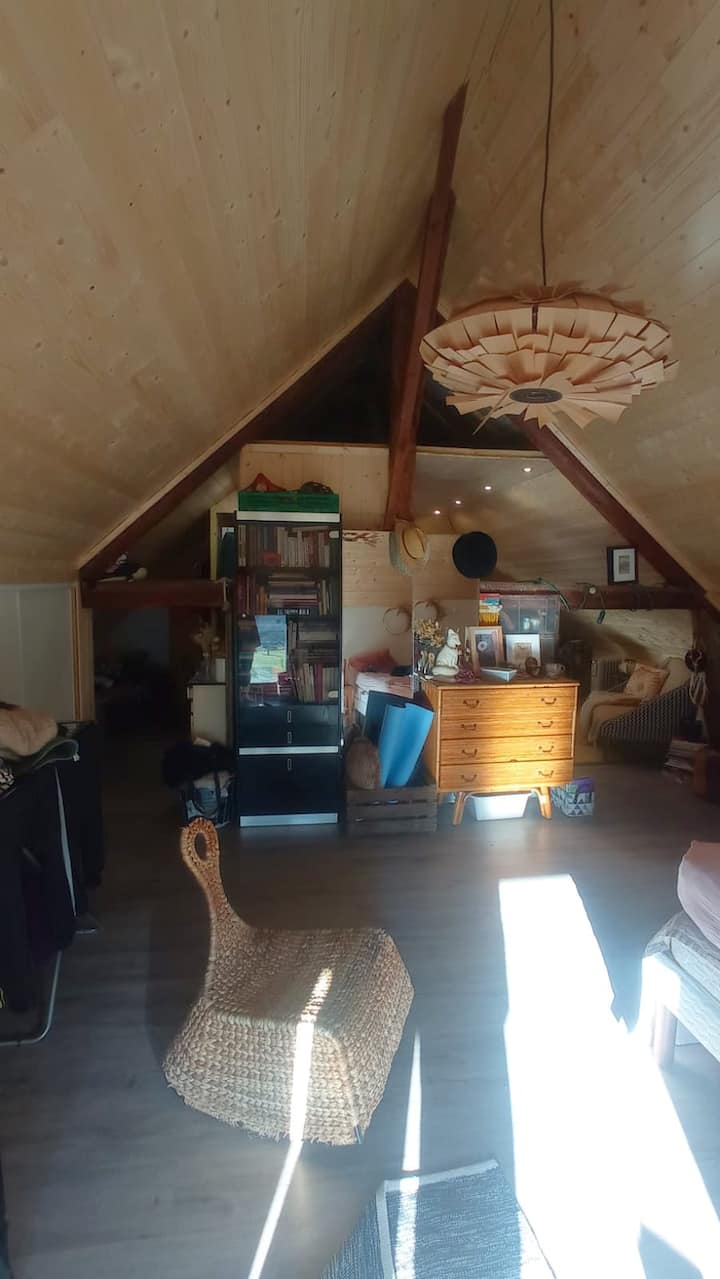 Studio Autonome Dans Une Maison De Village - Doussard