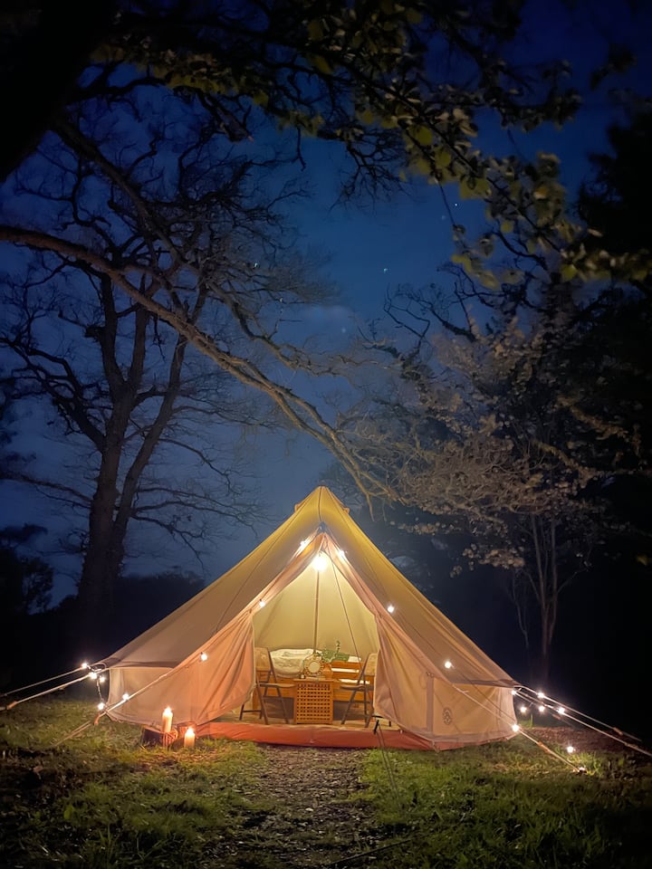 Fern | Rustic New Forest Bell Tent Stay - Ringwood