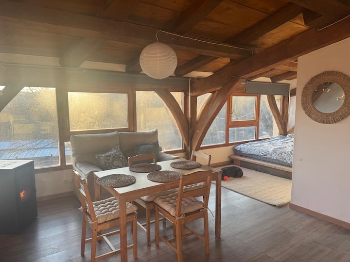 Acollidor Apartament En Plena Natura - Sant Quirze de Besora