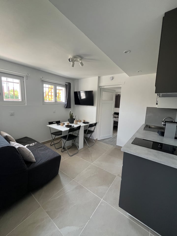 Appartement Avec Accès Jardin - Albertville