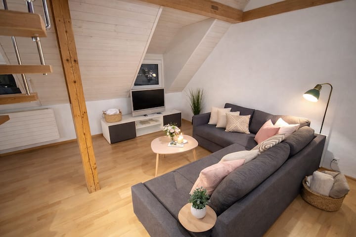 Charmante Dachgeschoss-maisonette In Bern - Bern