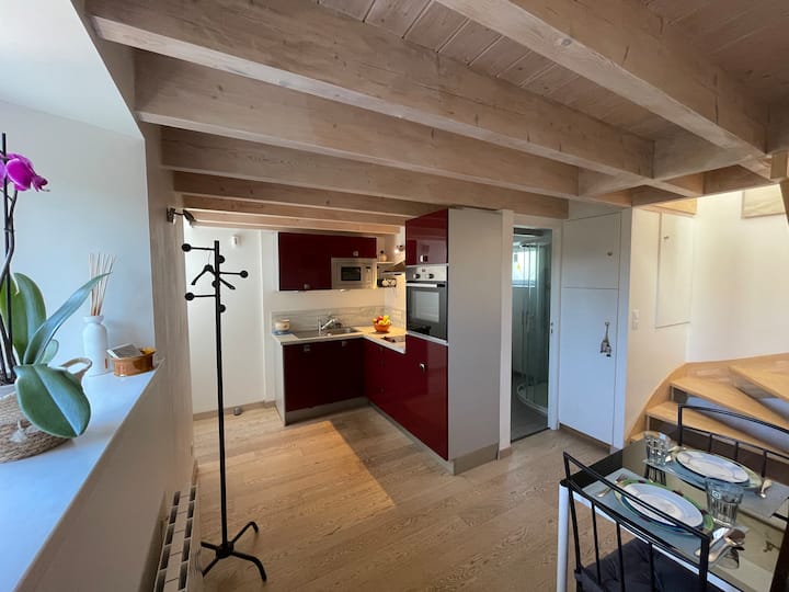 Hauts De Primel - Macareux - Plougasnou