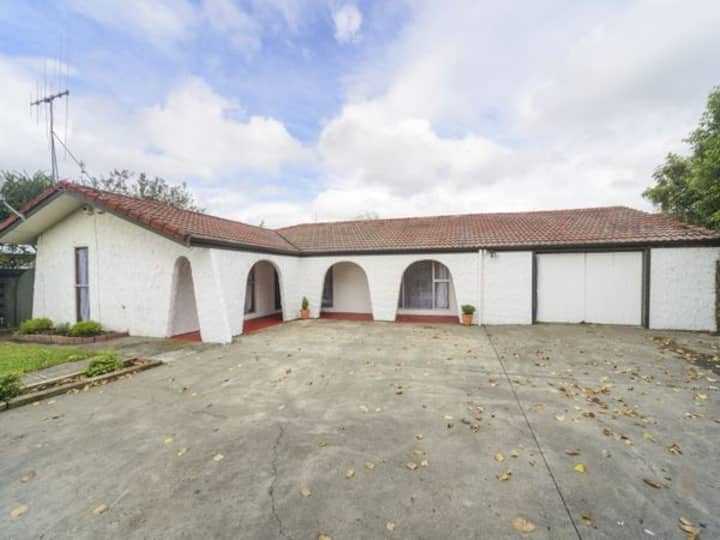 Trusty Down Tremaine - Palmerston North