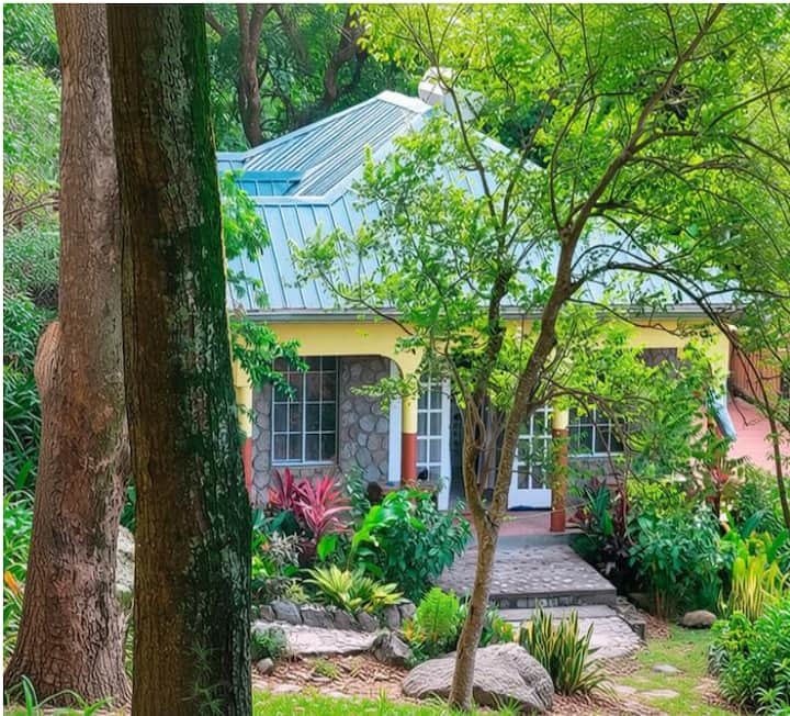 Kaye Gens Libre - Santa Lucía