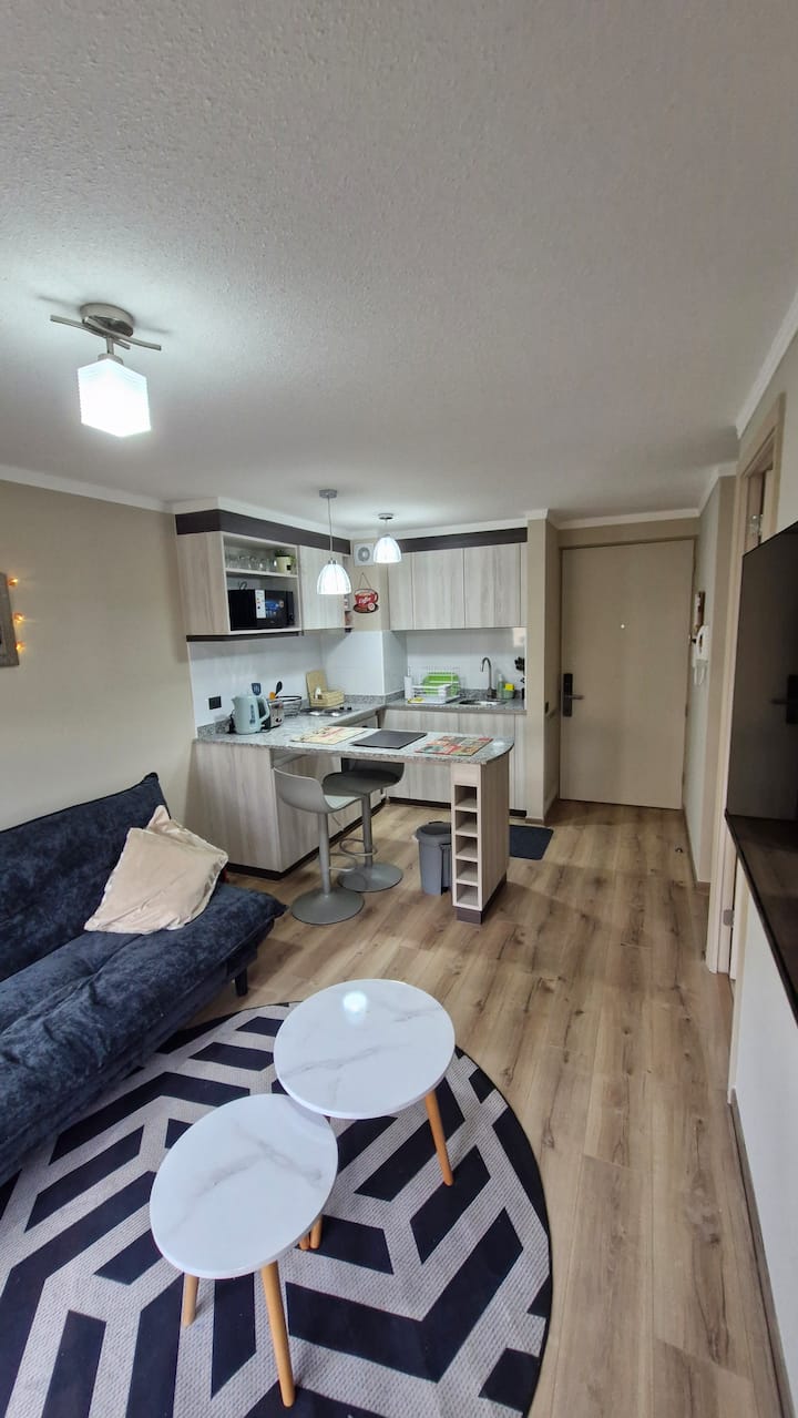 Arriendo Depto. Valdivia - Luminoso Y Moderno - Valdivia