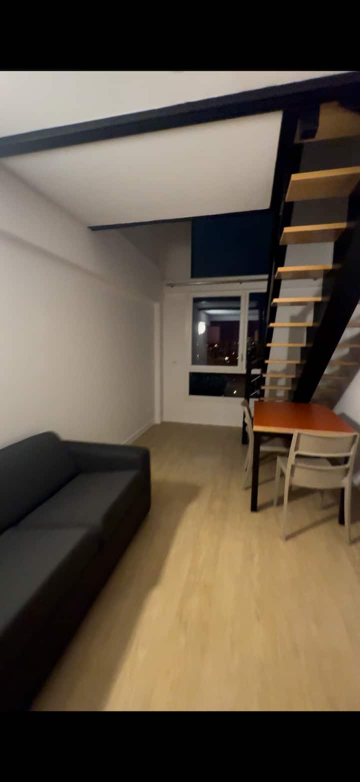 Superbe Duplex Créteil Soleil - Créteil