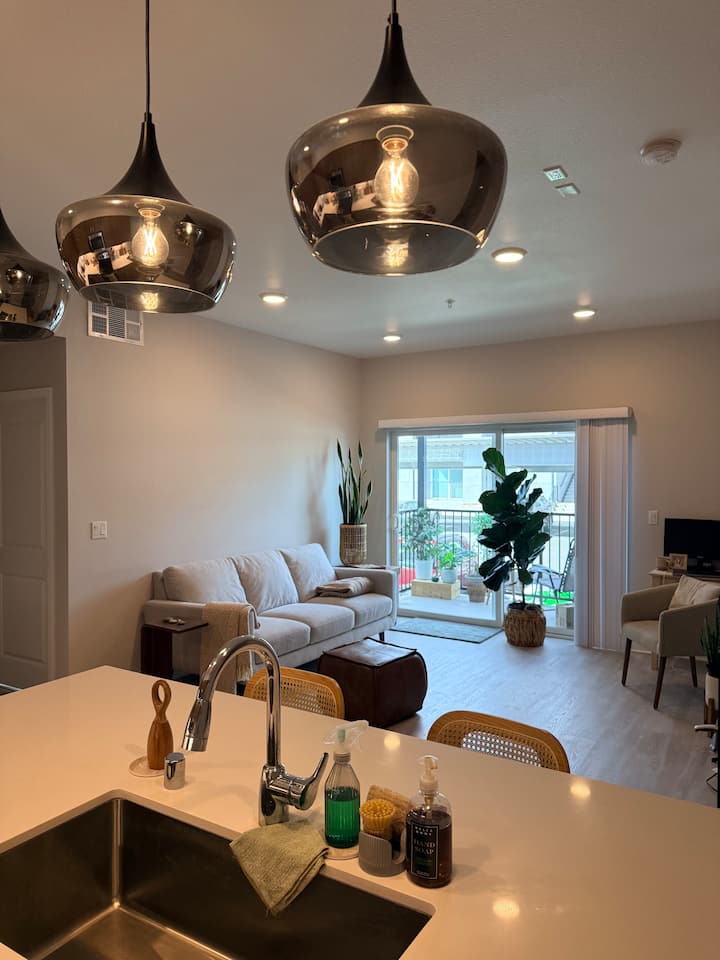 Quiet Downtown Apartment 2bd 2 Bath Pool + Gym - Carson City, NV