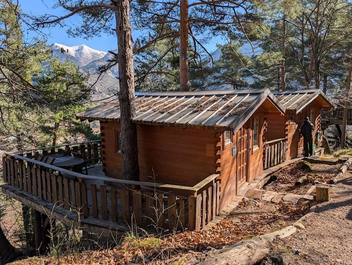 Cabanes Dans Les Arbres - Tende