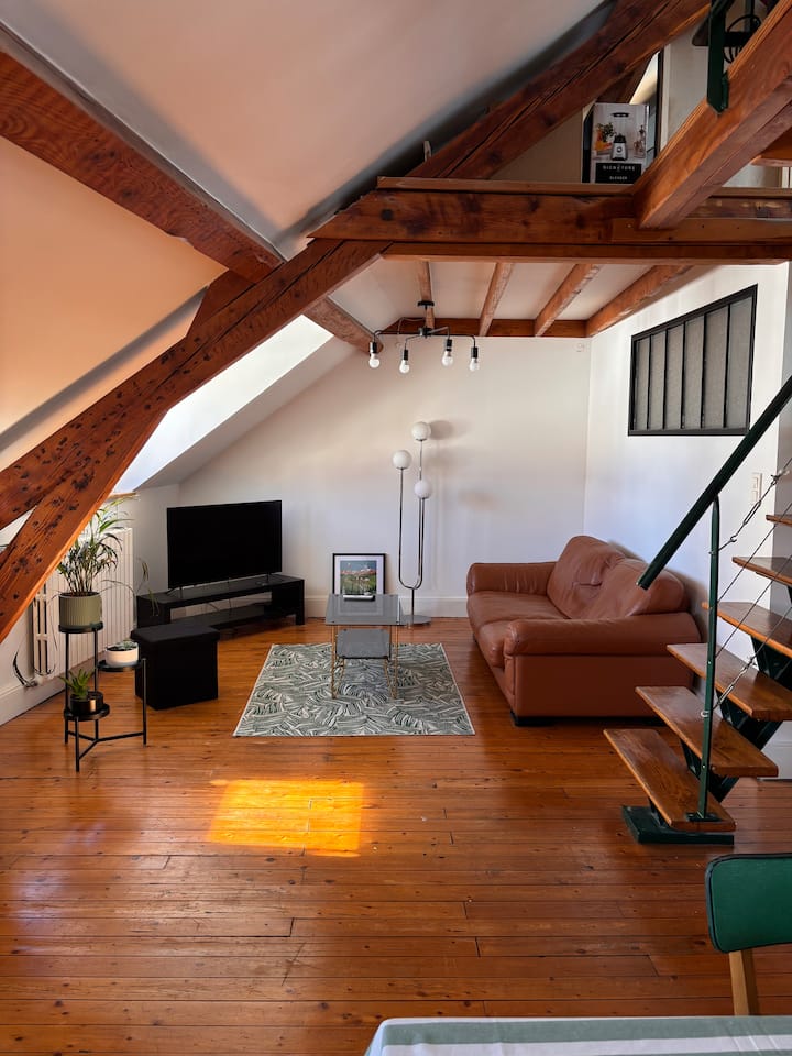 Appartement Cosy Dans Le Centre-ville Vichyssois - Vichy