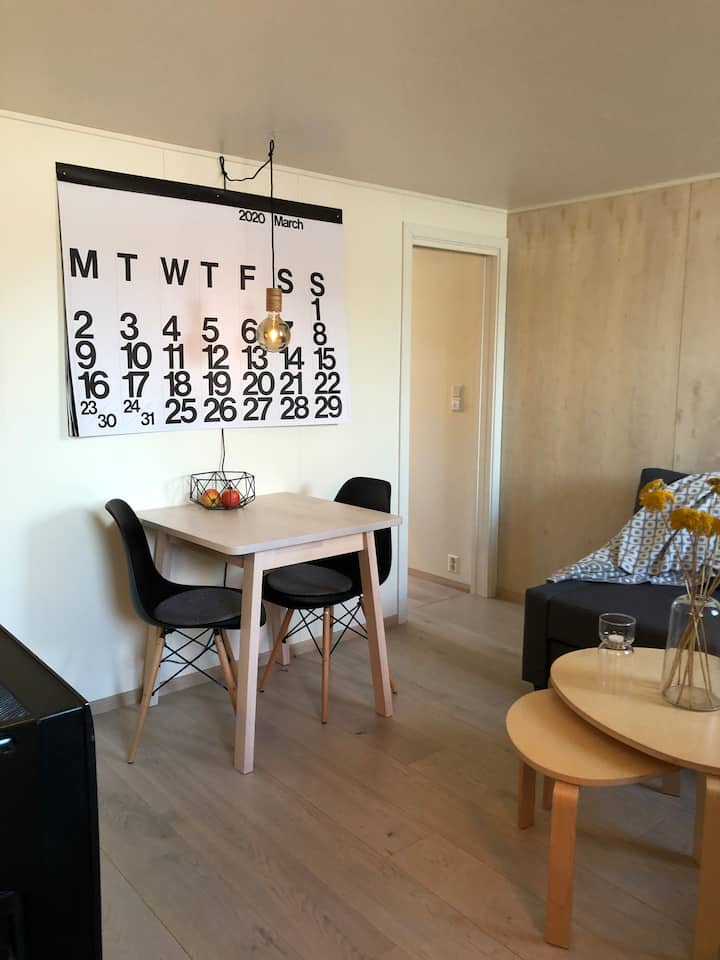 Liten, Sentral Leilighet, Parkering Og Elbillader. - Trondheim