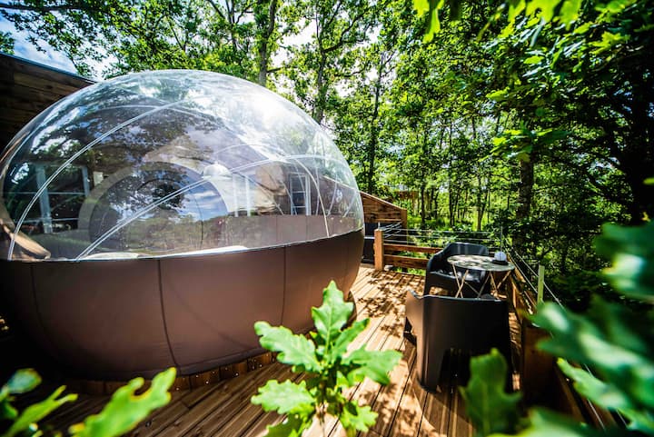 La Canopée - Saint-Léonard-des-Bois