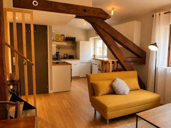 Charmant Attic Duplex Au Cœur De Thonon - ibis Thonon Centre