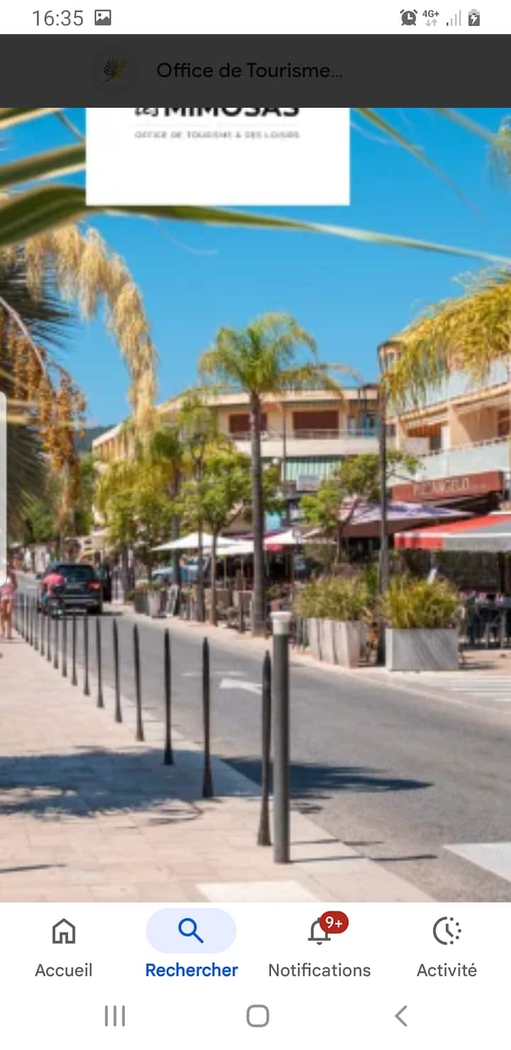 Locations Saisionniéres - Le Lavandou