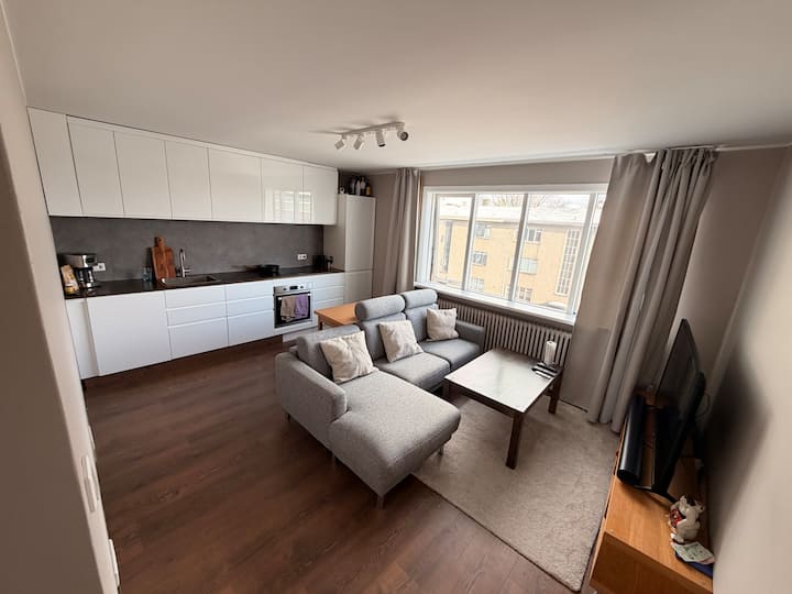 Newly Renovated Flat In Downtown Reykjavík - Reikiavik