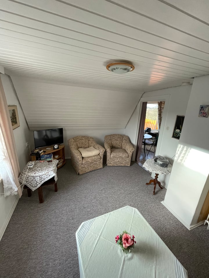 Gemütliche Wohnung Mit Dachterrasse - Rendsburg